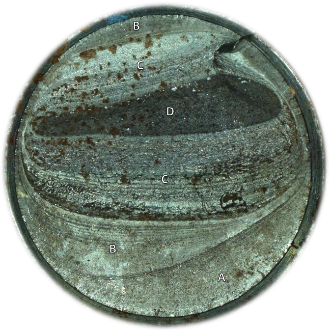 Fastenal Industrial Supplies, OEM Fasteners, Safety Products & More